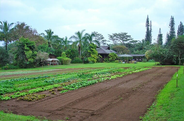 North Country Farms – Moderate – Kauai