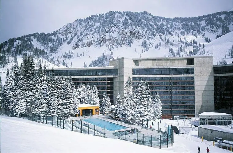 Snowbird