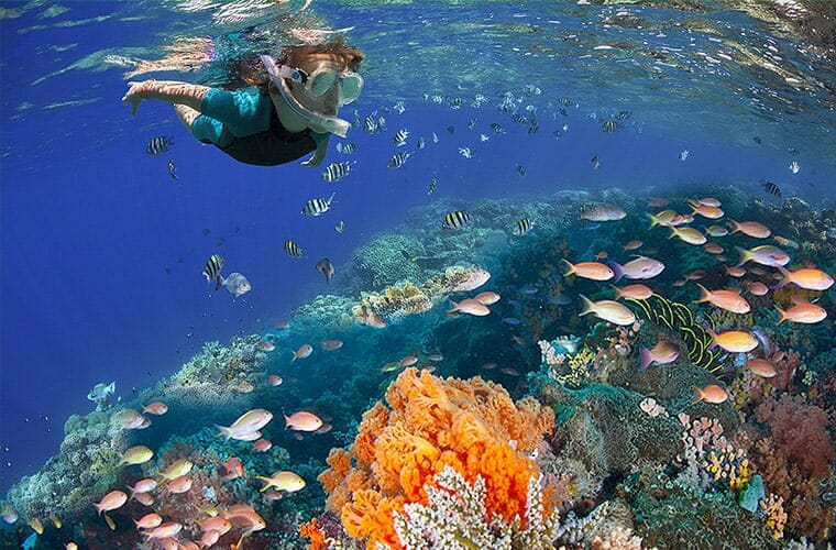 Arrecifes De Cozumel National Park Cancun