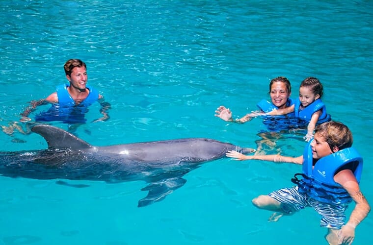 Delphinus Puerto Morelos Aquarium Cancun