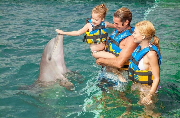 Dolphin Discovery Cancun
