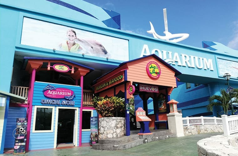 Interactive Aquarium At The La Isla Shopping Mall Cancun