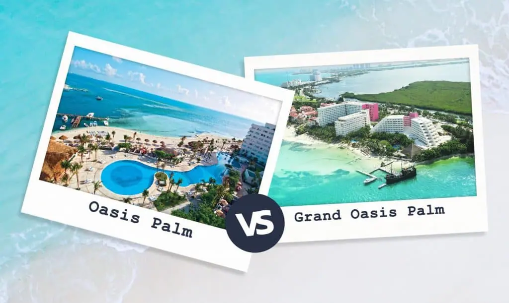 Oasis Palm Vs Grand Oasis Palm
