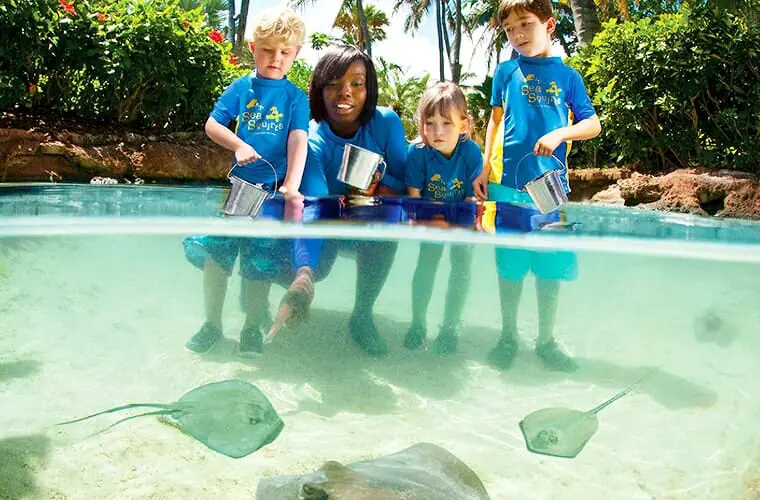Atlantis Resort