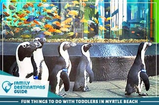 Fun Things to Do with Toddlers in Myrtle Beach