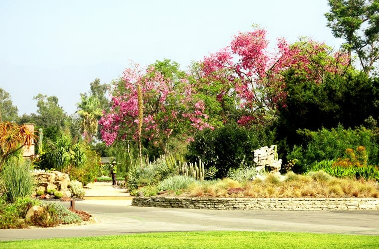 Los Angeles County Arboretum And Botanic Garden