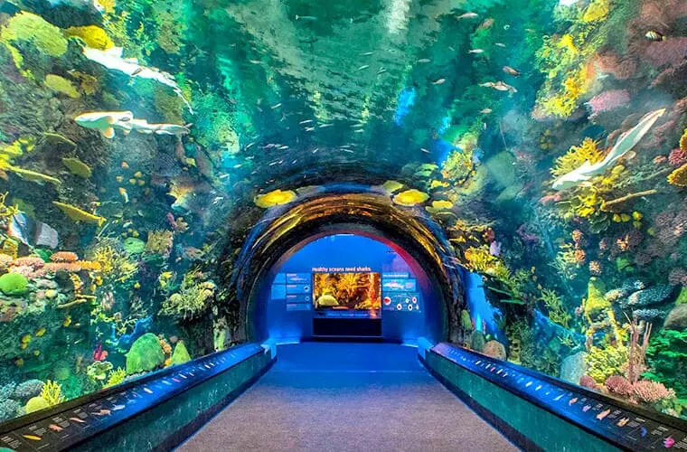 New York Aquarium