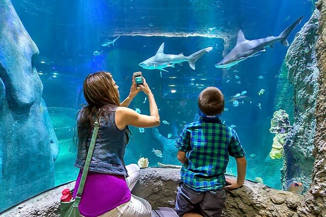Sea Life Orlando Aquarium