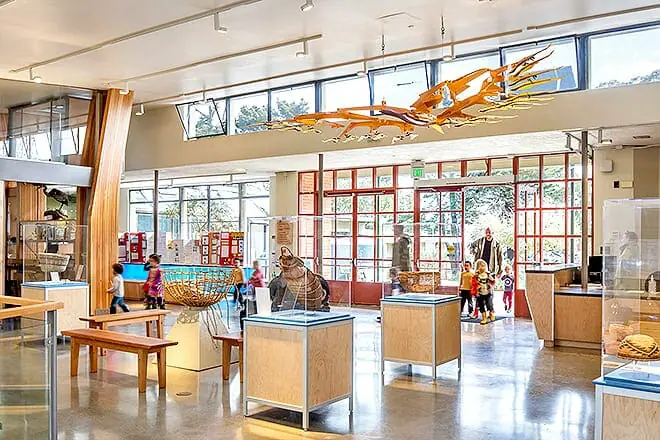 The Randall Museum