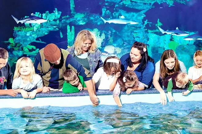 Wildlife World Zoo