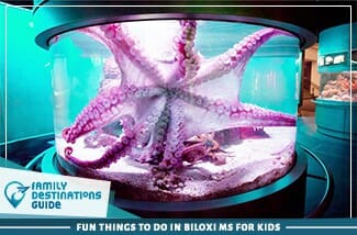 Fun Things To Do In Biloxi Ms For Kids 325
