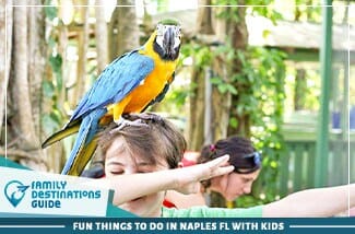 Fun Things To Do In Naples Fl With Kids 325