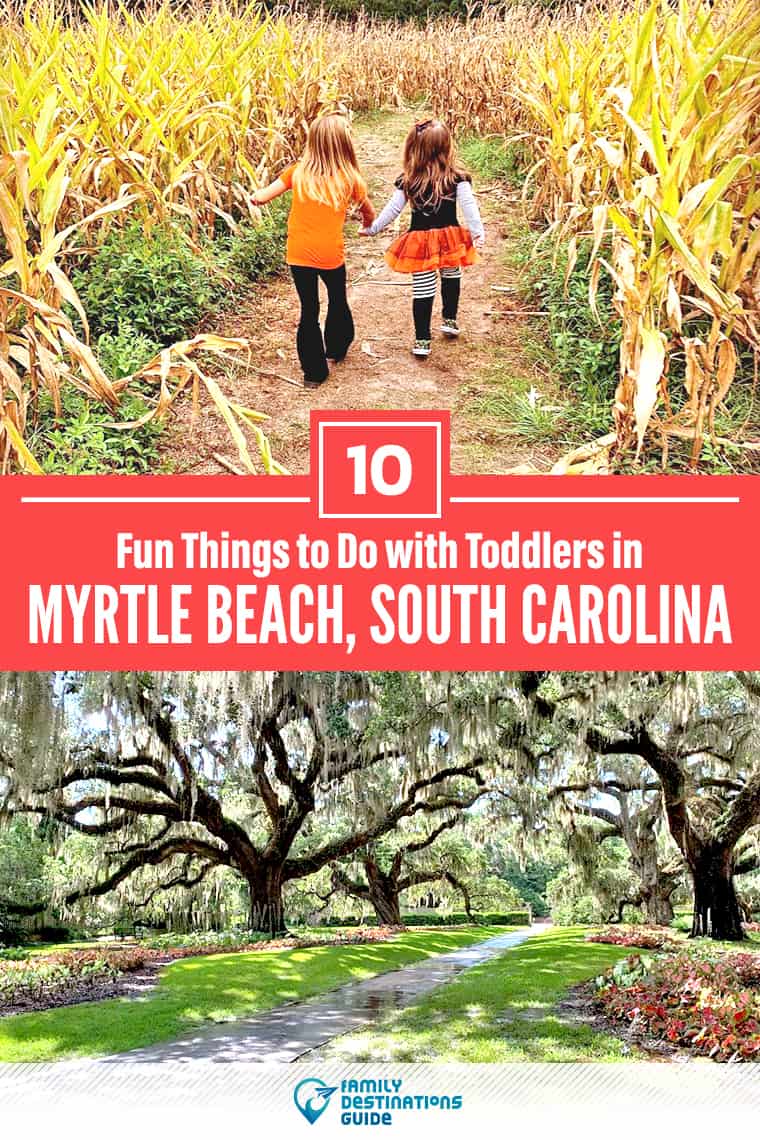 10 Fun Things to Do with Toddlers in Myrtle Beach: The Best Family Friendly Attractions