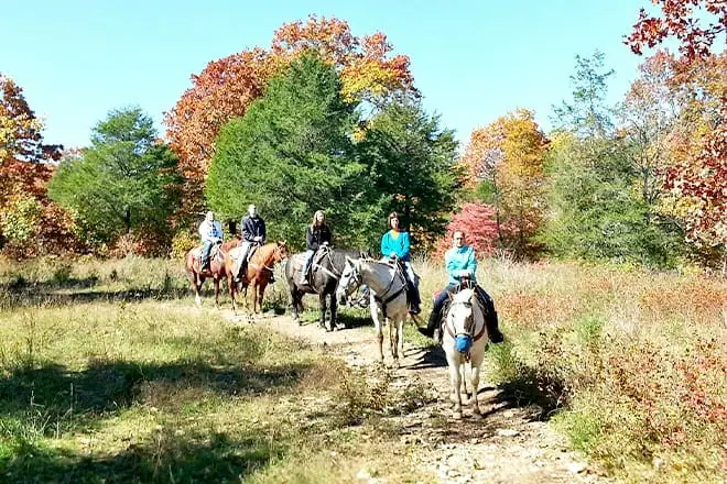 Bear Creek Trail Rides And Stable