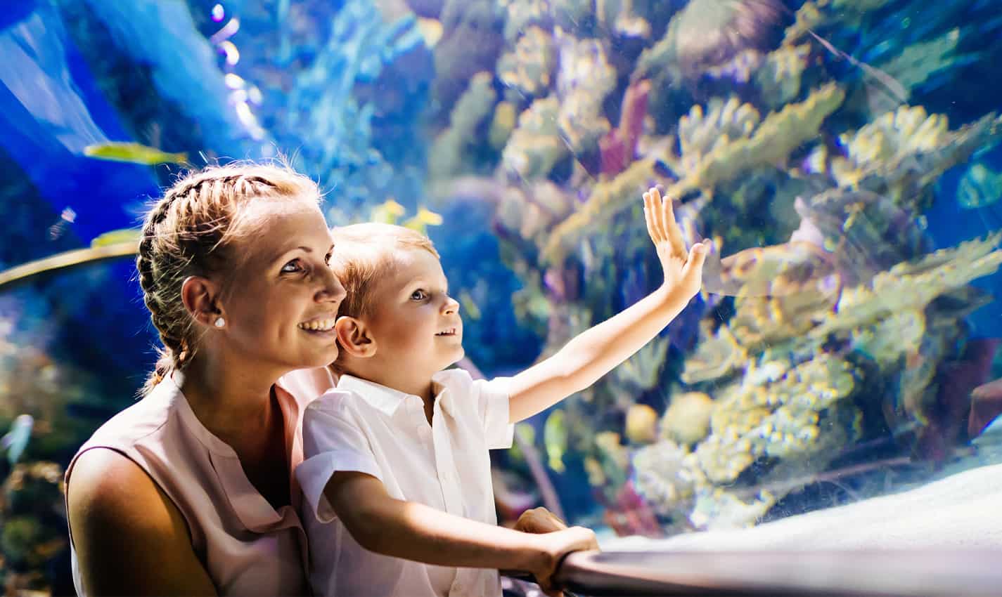 9 Fun Things To Do Near Charlotte NC 2022 Best Places To Visit 