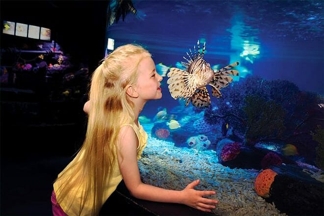 Sea Life Charlotte-Concord Aquarium
