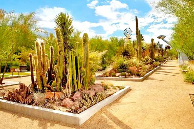 Springs Preserve