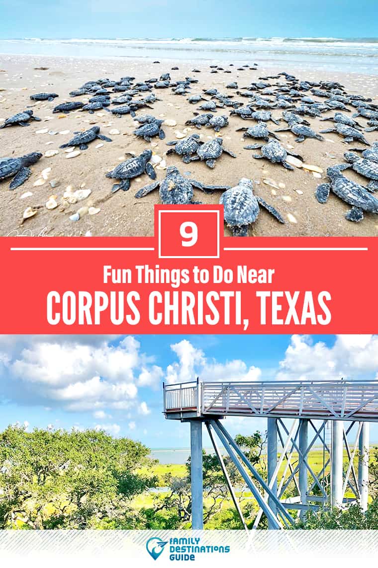 9 Fun Things to Do Near Corpus Christi, TX: Best Places to Visit Nearby!