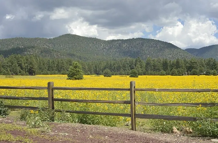Flagstaff