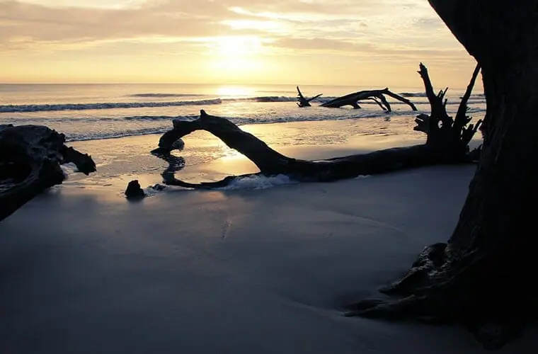 Jekyll Island