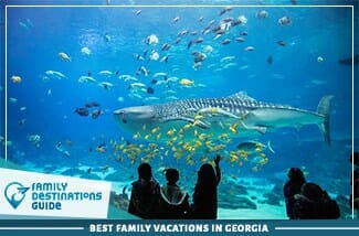 Best Family Vacations In Georgia