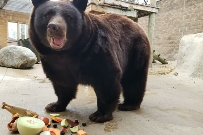 Bramble Park Zoo — Watertown