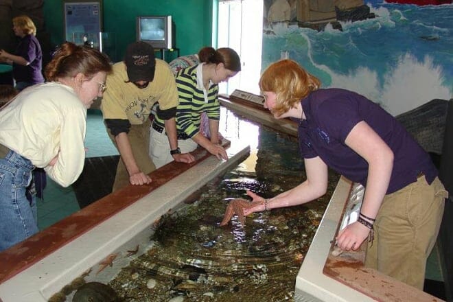 Maine State Aquarium — Boothbay Harbor