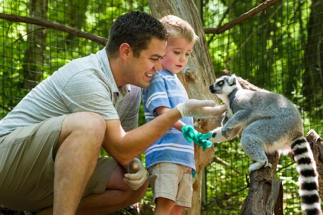 Oglebay Good Zoo — Wheeling