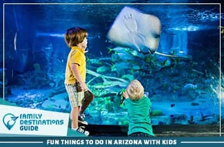 Fun Things To Do In Arizona With Kids
