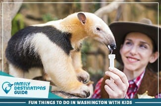 Fun Things To Do In Washington With Kids