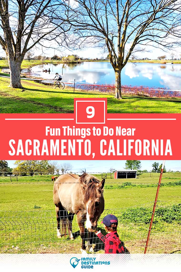 9 Fun Things to Do Near Sacramento, CA: Best Places to Visit Nearby!