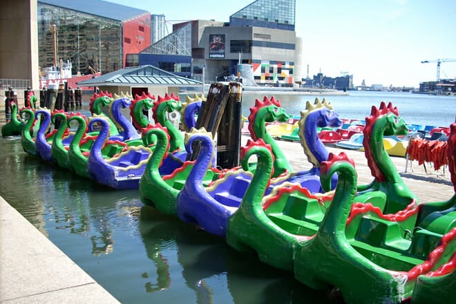 Chessie Dragon Paddle Boats — Downtown Baltimore
