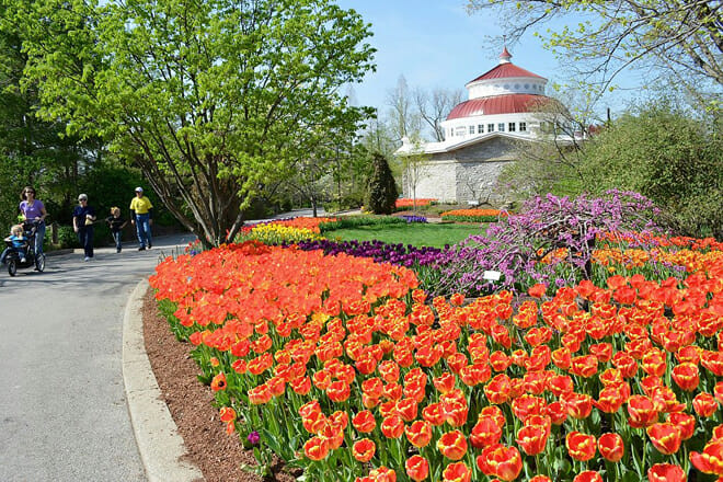 Cincinnati Zoo & Botanical Garden
