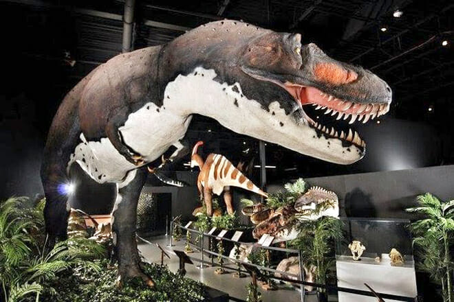 Dinosaur Museum — Downtown