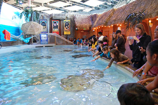 Downtown Aquarium — Platte River