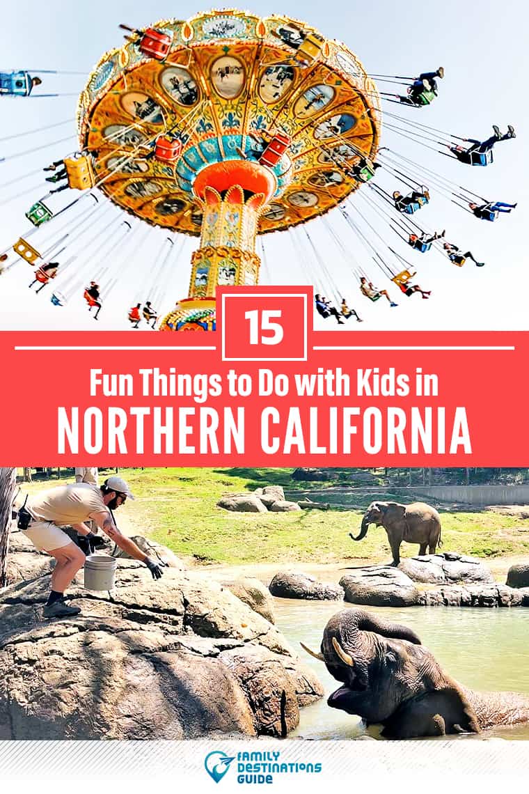 15 Fun Things to Do in Northern California with Kids — Family Friendly Activities!