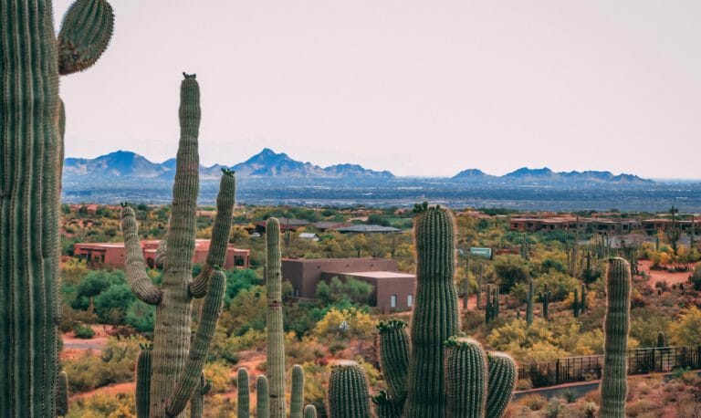 Fun Things To Do In Scottsdale With Kids