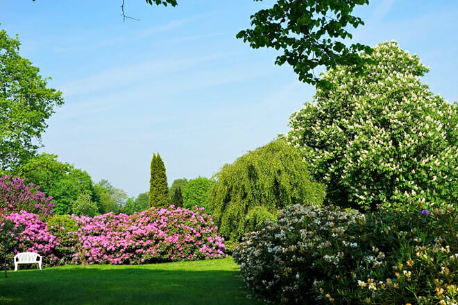 Magnolia Plantation Gardens — West Ashley