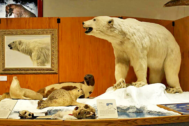 Museum Of The North — Fairbanks