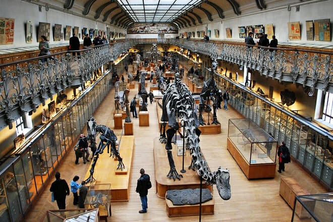 Natural History Museum — Rue Cuvier