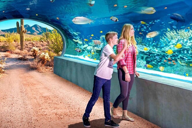 OdySea Aquarium — South Scottsdale