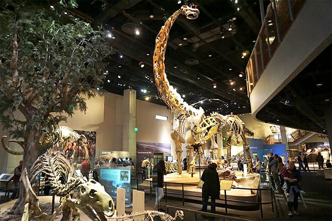 Perot Museum Of Nature And Science — Downtown Dallas