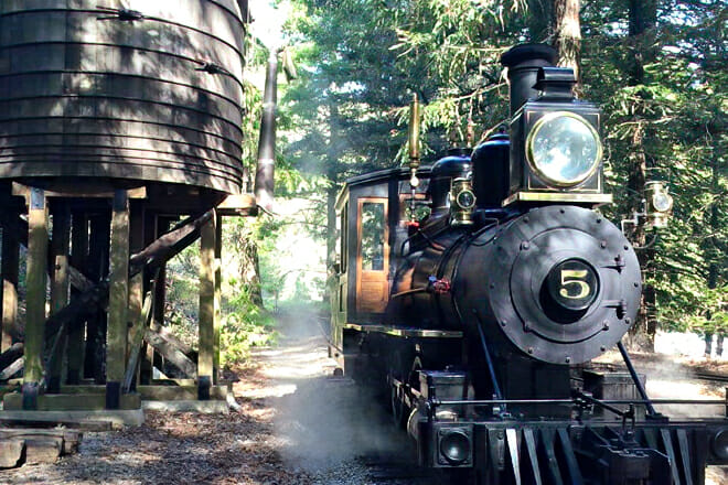 Redwood Valley Steam Train — Orinda