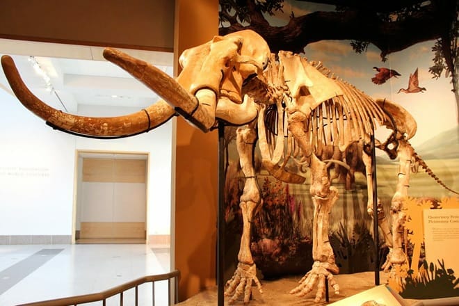 Sam Noble Oklahoma Museum of Natural History — Norman