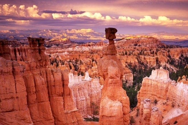 Sightseeing Tour — Bryce Canyon National Park