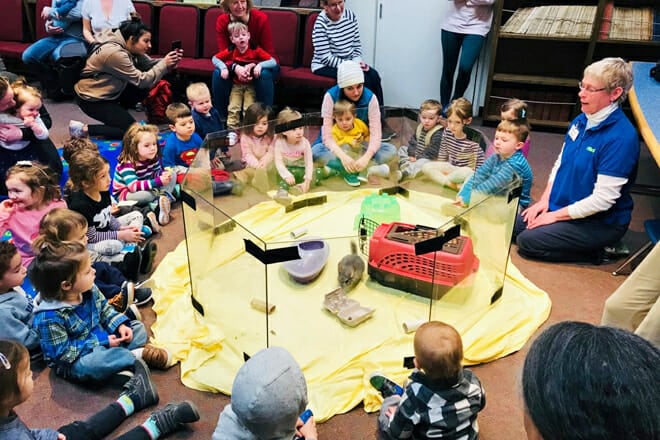 The Ecotarium — Worcester