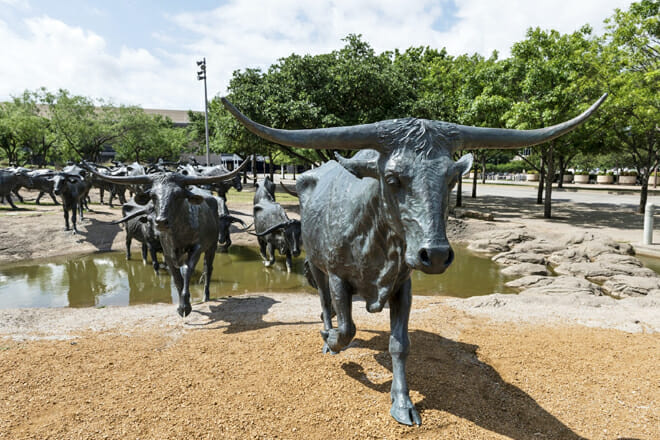 Visit A Herd Of Bronze Steers — Downtown