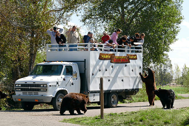 Yellowstone Bear World — Rexburg