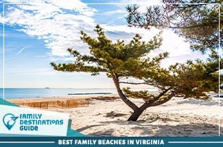 Best Family Beaches In Virginia