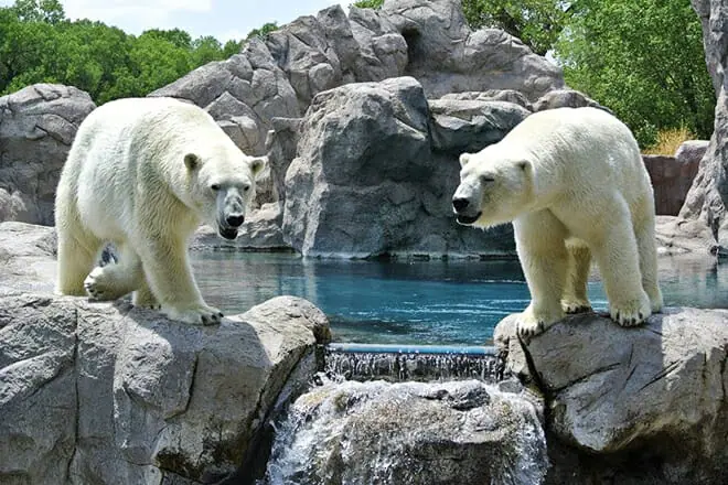 ABQ BioPark